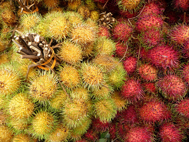 The Earth of India: All About Rambutan