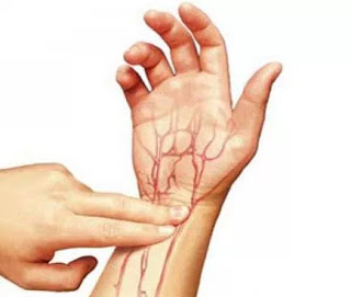 Health and Medicine: Koliko je normalan puls srca kod odraslih osoba?