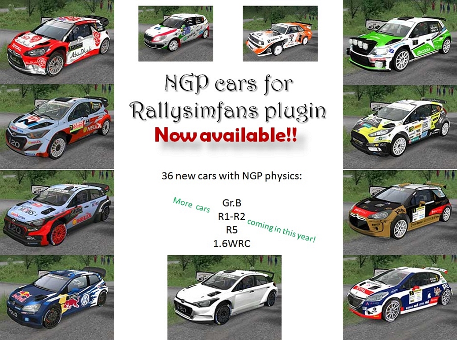 RBR+: Rallysimfans.hu + NGP