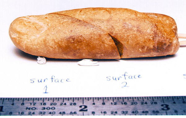 The Biggest Secrets Of The World: A 100 Million Fossilized Human Finger ...