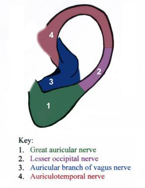 Medical-Review: Ear Anesthesia