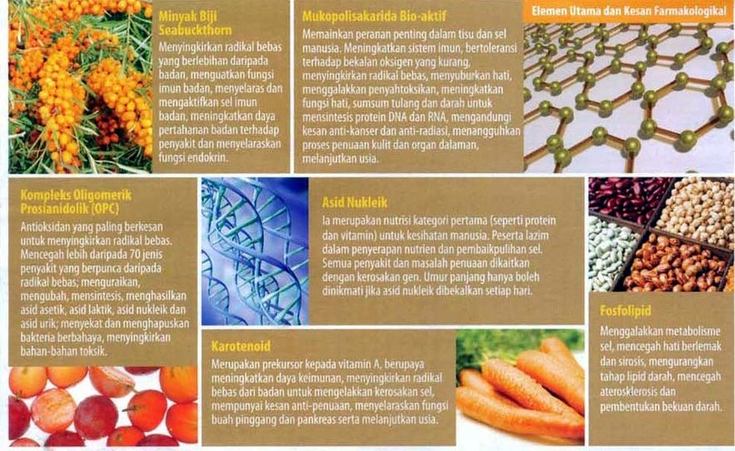 Sihat Putih Gebu: KAPSUL SNE