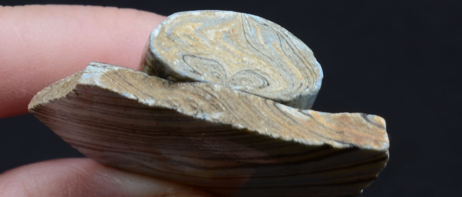 Mudlarking: Solid Agateware 1730 - 1760