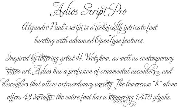 Adios Script Sample Font | Searching Typography