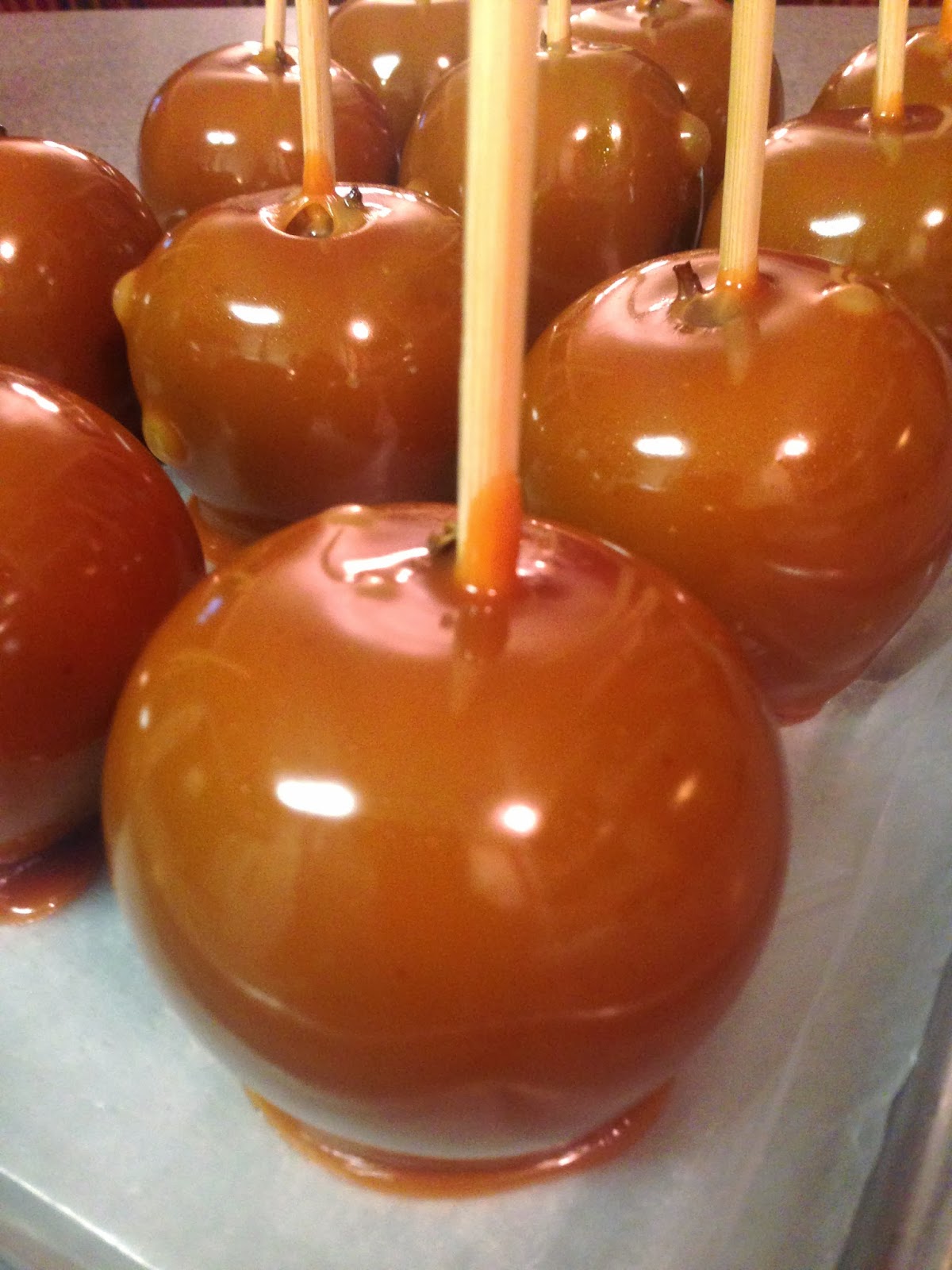 The Chocolate Workshop