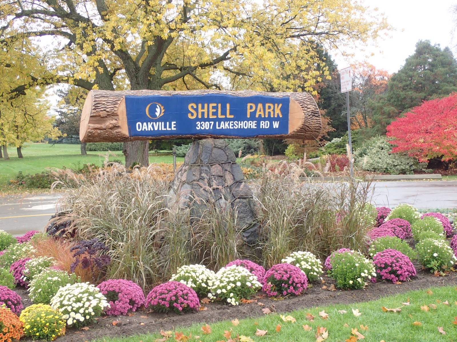 Pathfinders Photos: Shell Park East, Mon 5 Nov 2018, 8:45