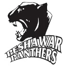 PESHAWAR PANTHERS ~ PPL T20 | PAKISTAN PREMIER LEAGUE T20