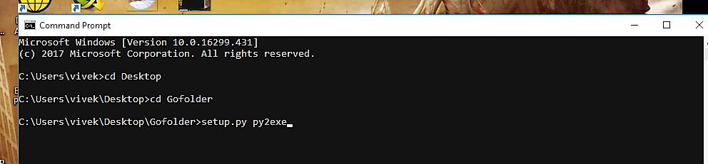 How to convert py to exe with custom icon using py2exe module