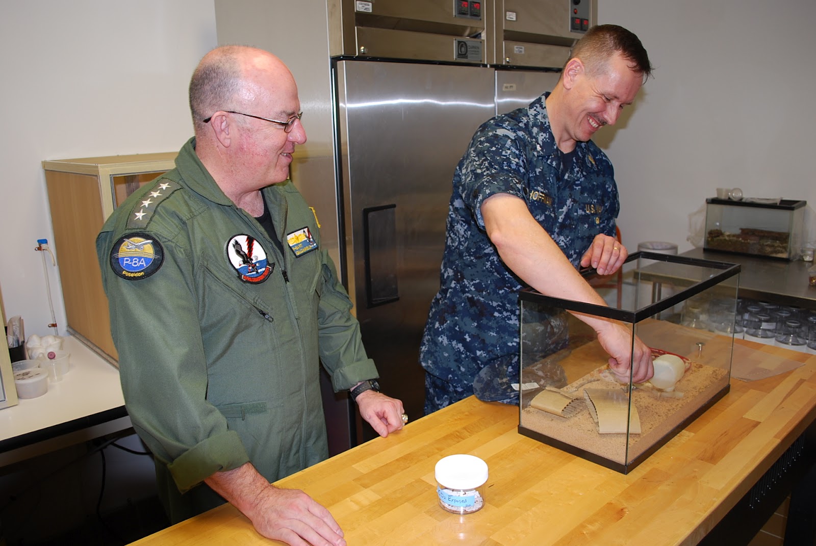 Archived U.S. Fleet Forces Command Blog (2009-2012): Navy Entomology ...