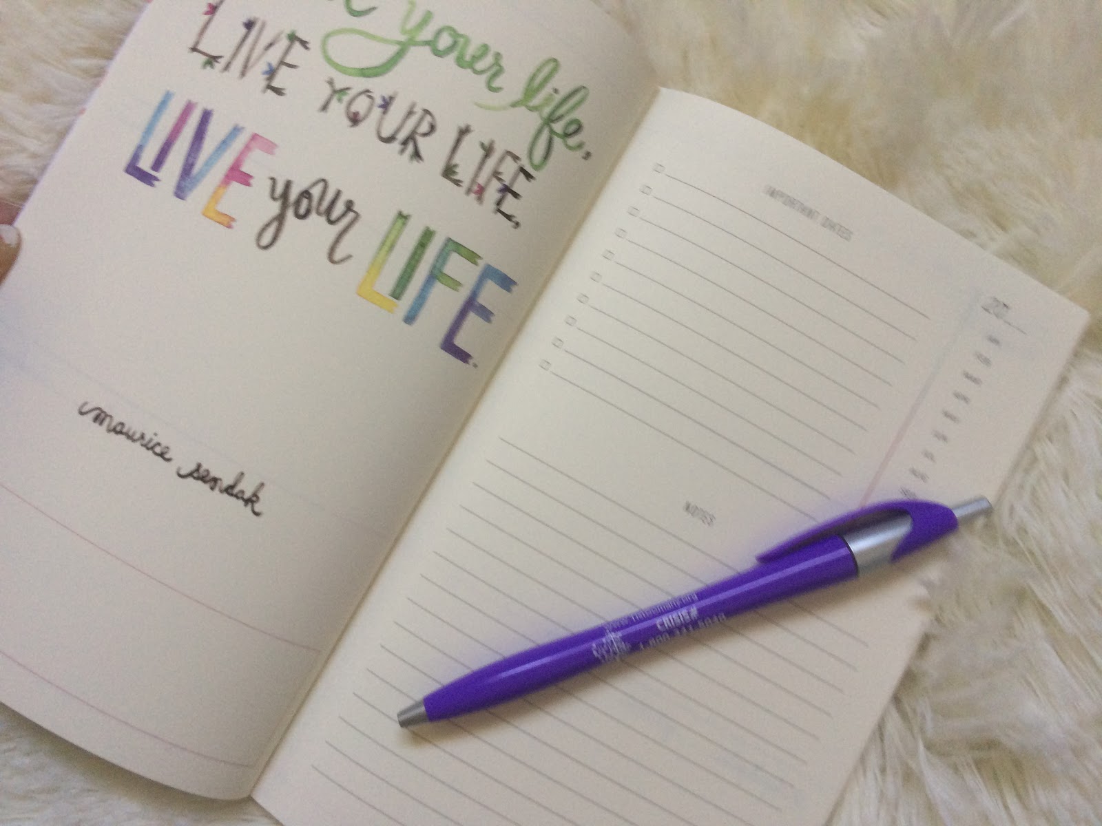 You'll Love This Beautiful Diary Style Planner