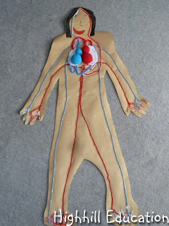 Highhill Homeschool: Human Body - Week 5 - The Heart