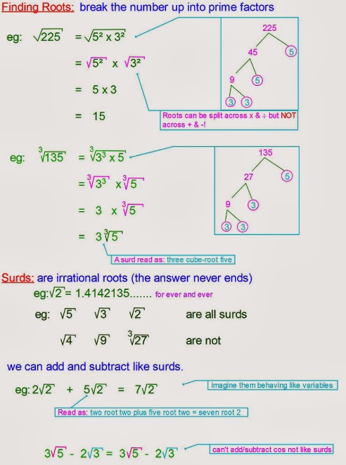 Mr Rouche's Maths: Prime Roots and Surds Intro