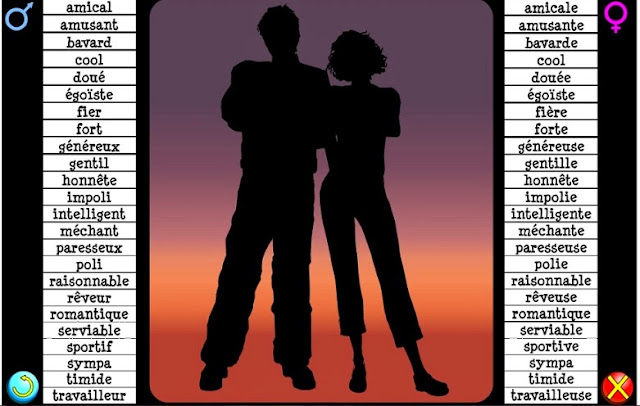 LA PROF DE FLE: L'aspect physique et le caractère