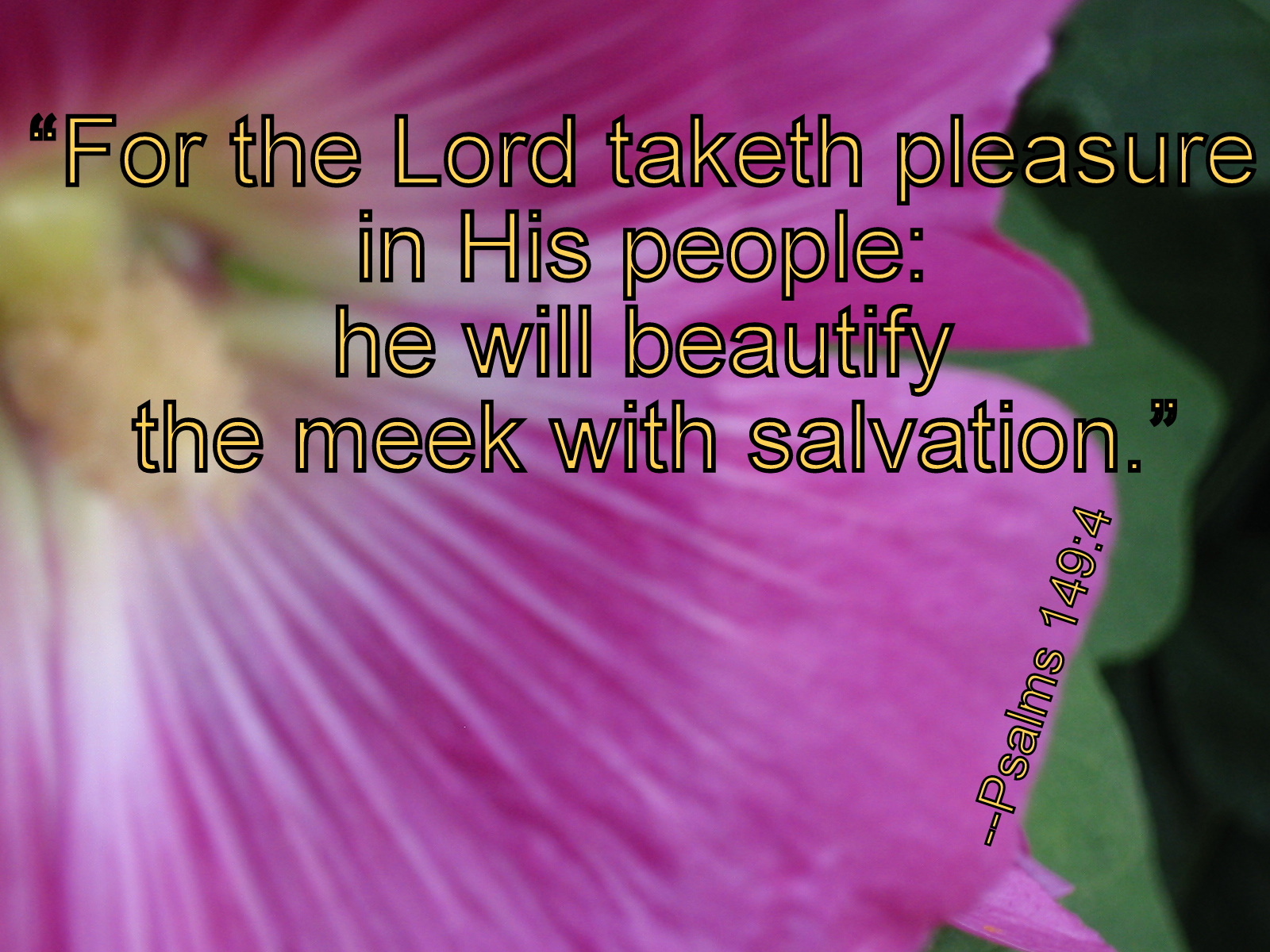 WORD of TRUTH Lighthouse ": " HIS Delight