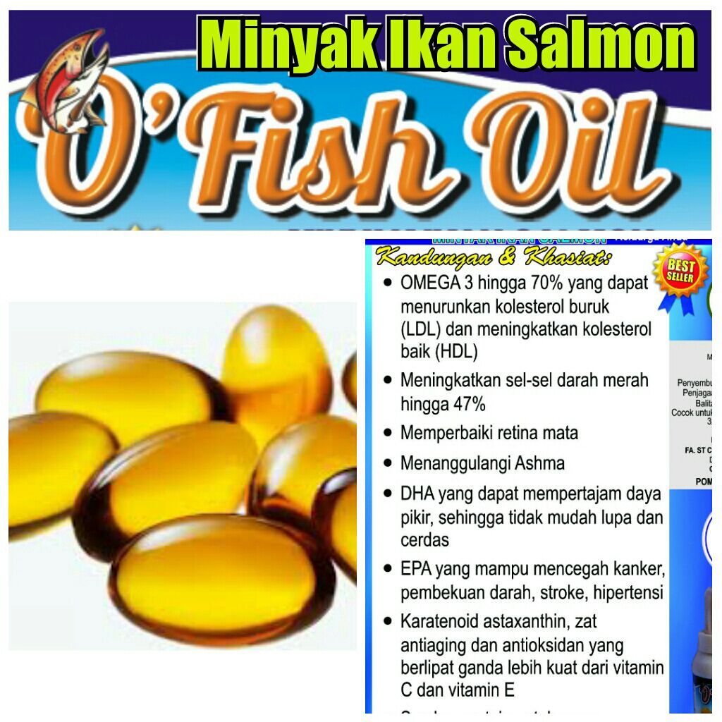 Apa Sih #Omega 3 itu? ~ O`Fish Oil Ikan Salmon | Omega Squa