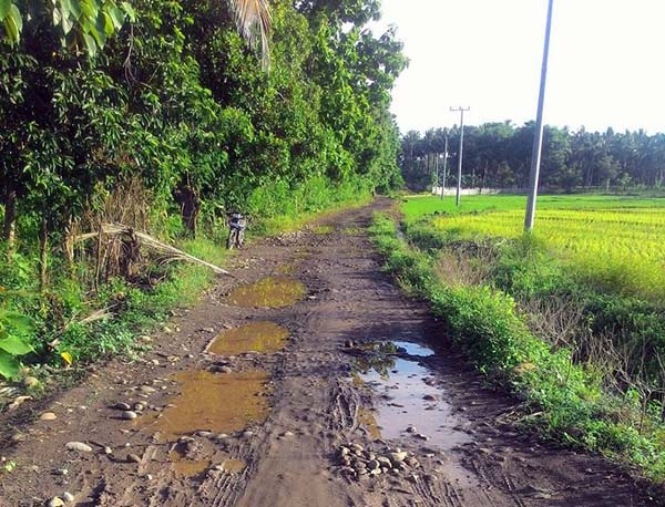 Spesial 54+ Pemandangan Jalan Yang Indah