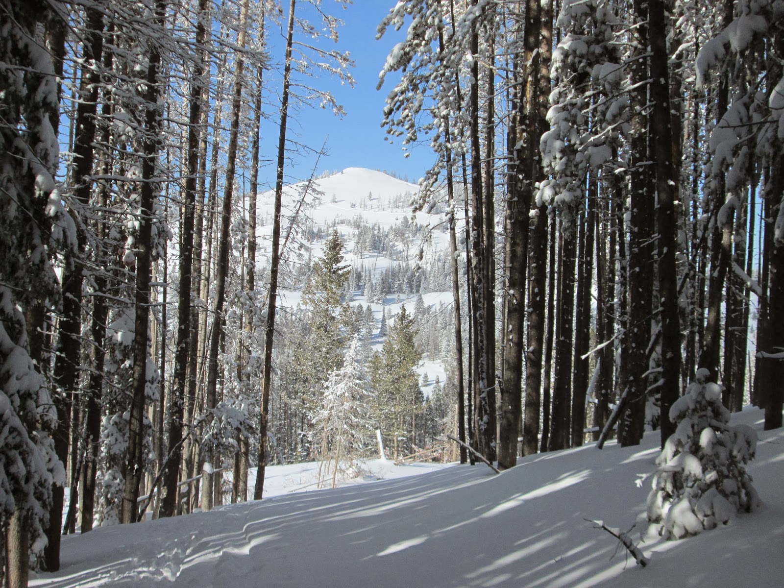 Out there with Tom: Stemple Pass turns on a cold day