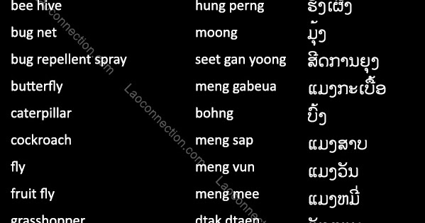 Laoconnection.com: Lao Language: Insects, Bugs, and Related Words