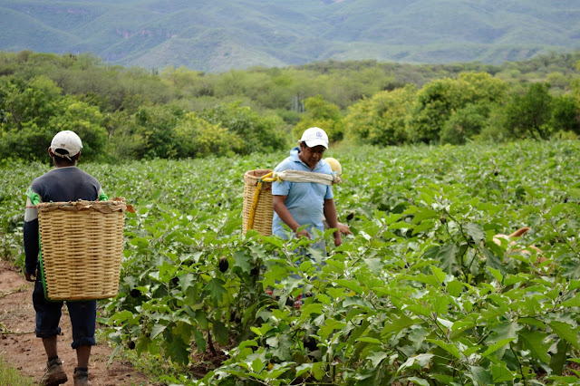 Viajes, Amor, Naturaleza y Vida : Vaije a Cuicatlán, Oaxaca, México