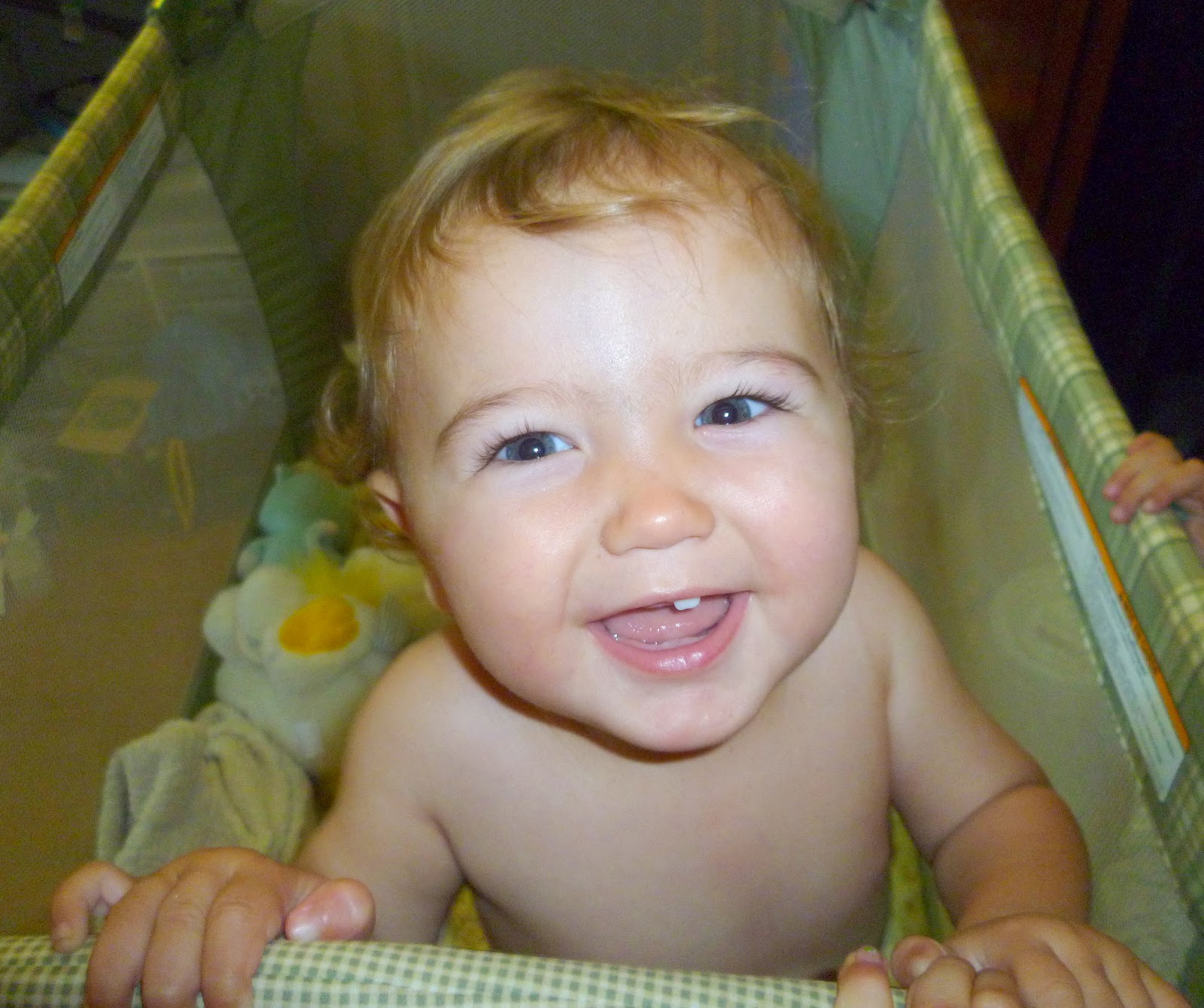 Michael, Vanessa, Jed, Zoe, Zane: Snaggletooth