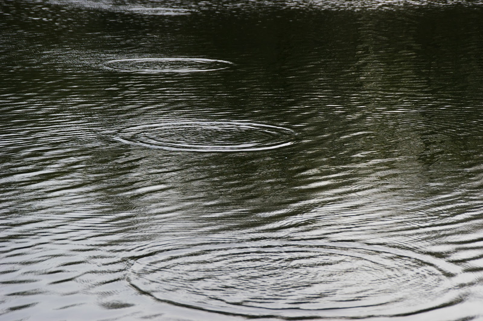 Reflections of a Grady Doctor: Skipping rocks.