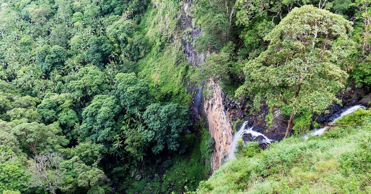 National Park Odyssey: Mapleton Falls National Park, QLD.