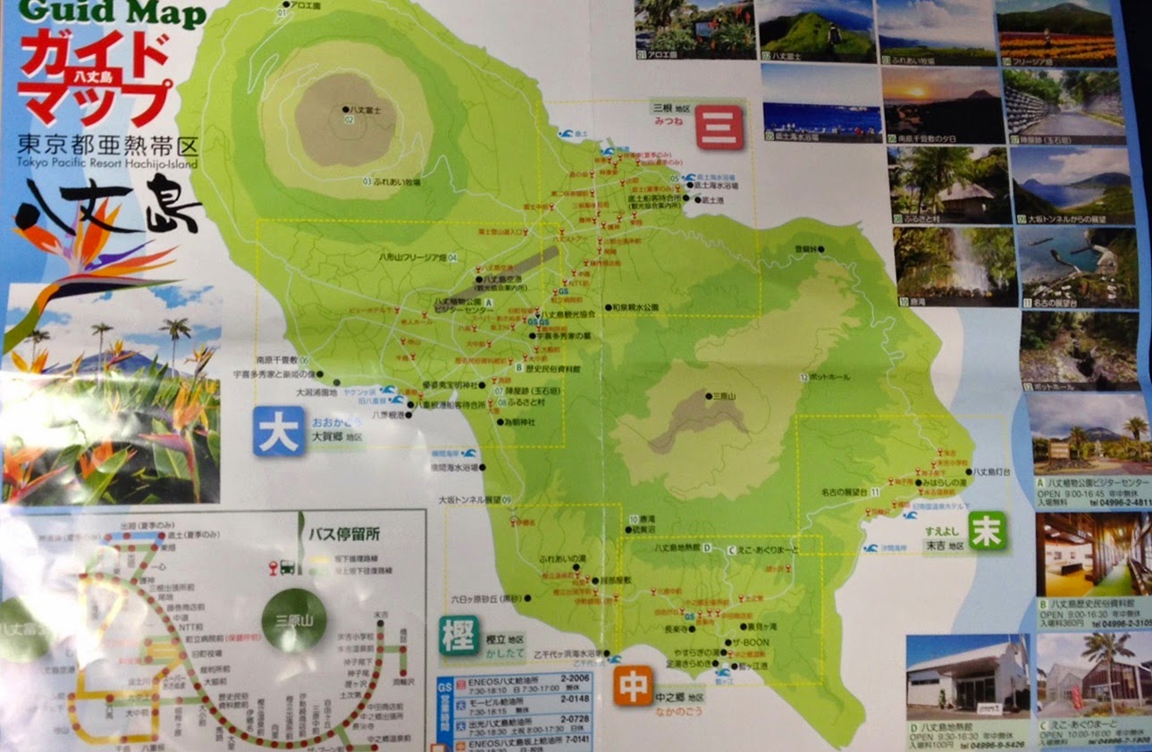 Birding in Japan: Hachijo-jima 1