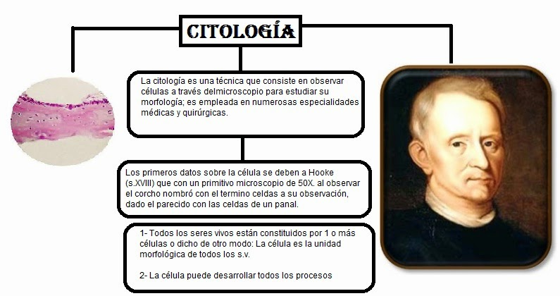 Citología Cuadros ~ La Citología