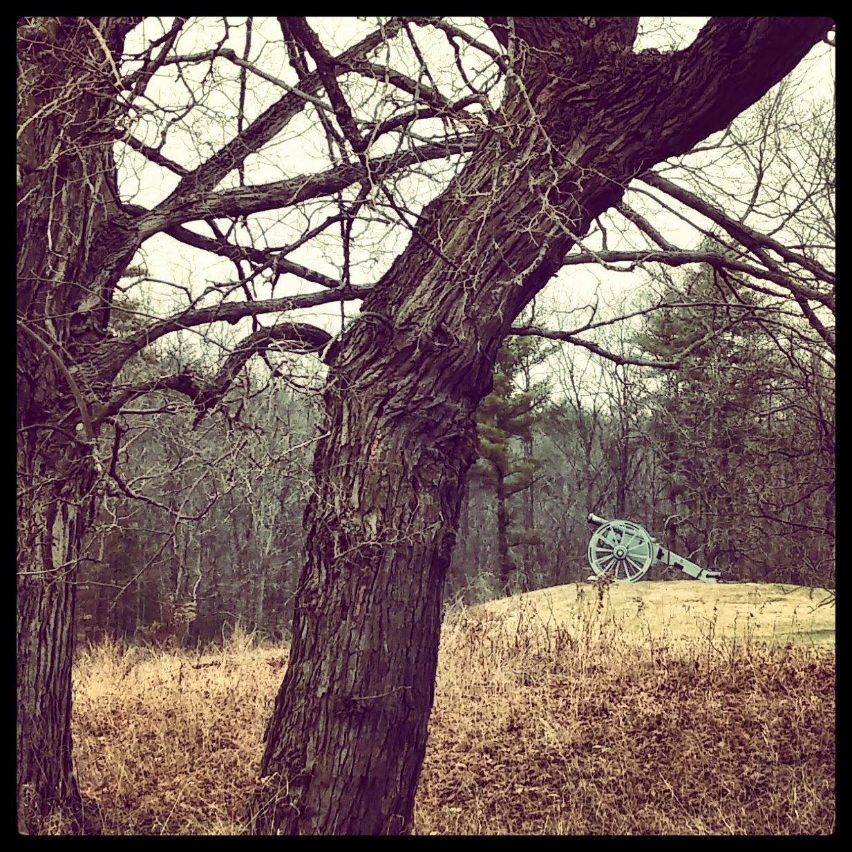 Wilkinson National Recreational Trail - Wistful Wanderings