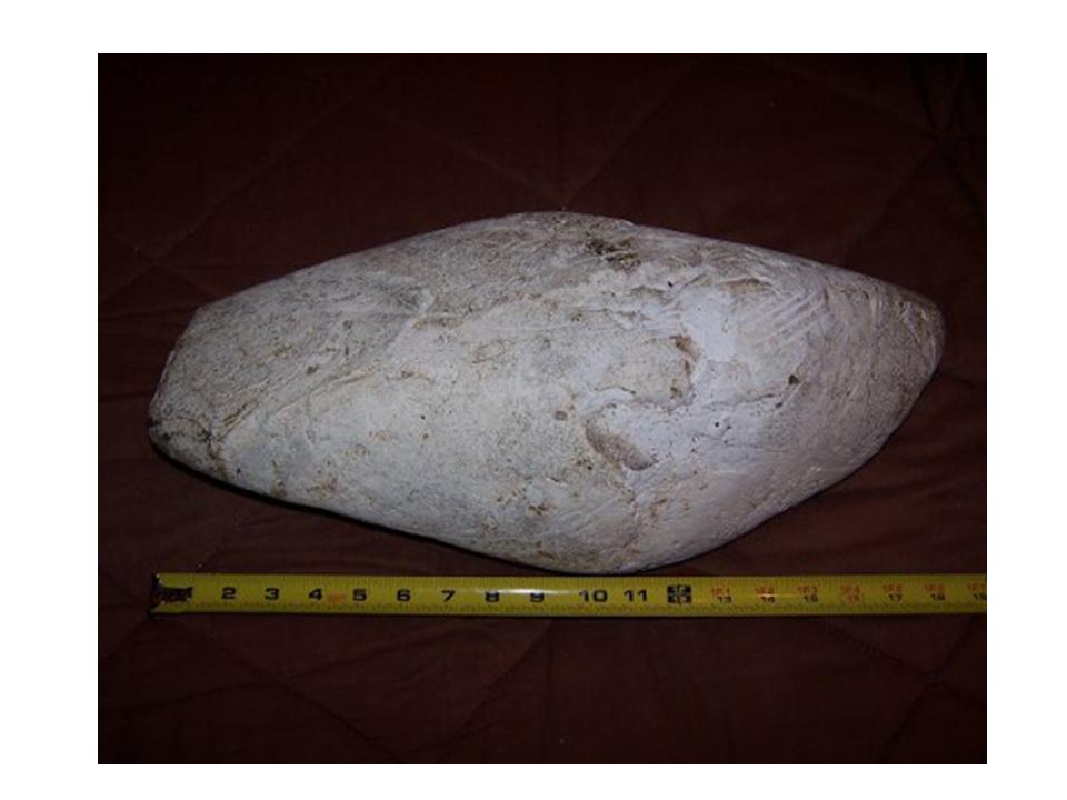 Indonesian Ambergris: Mengenal Ambergris