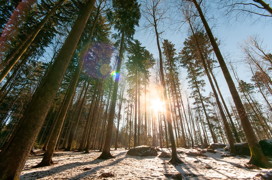 the waning moon, mercury retrograde plus the sun moves into pisces