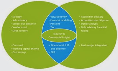 EchiBlog: The reasons for mergers and acquisitions