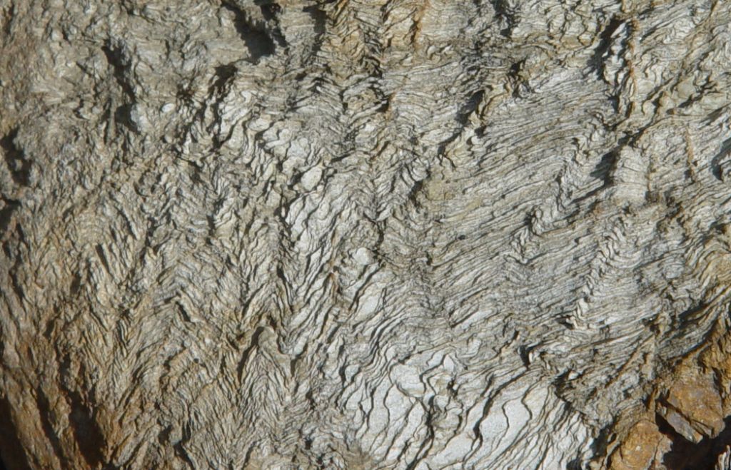 geophysics: macam-macam batuan metamorf