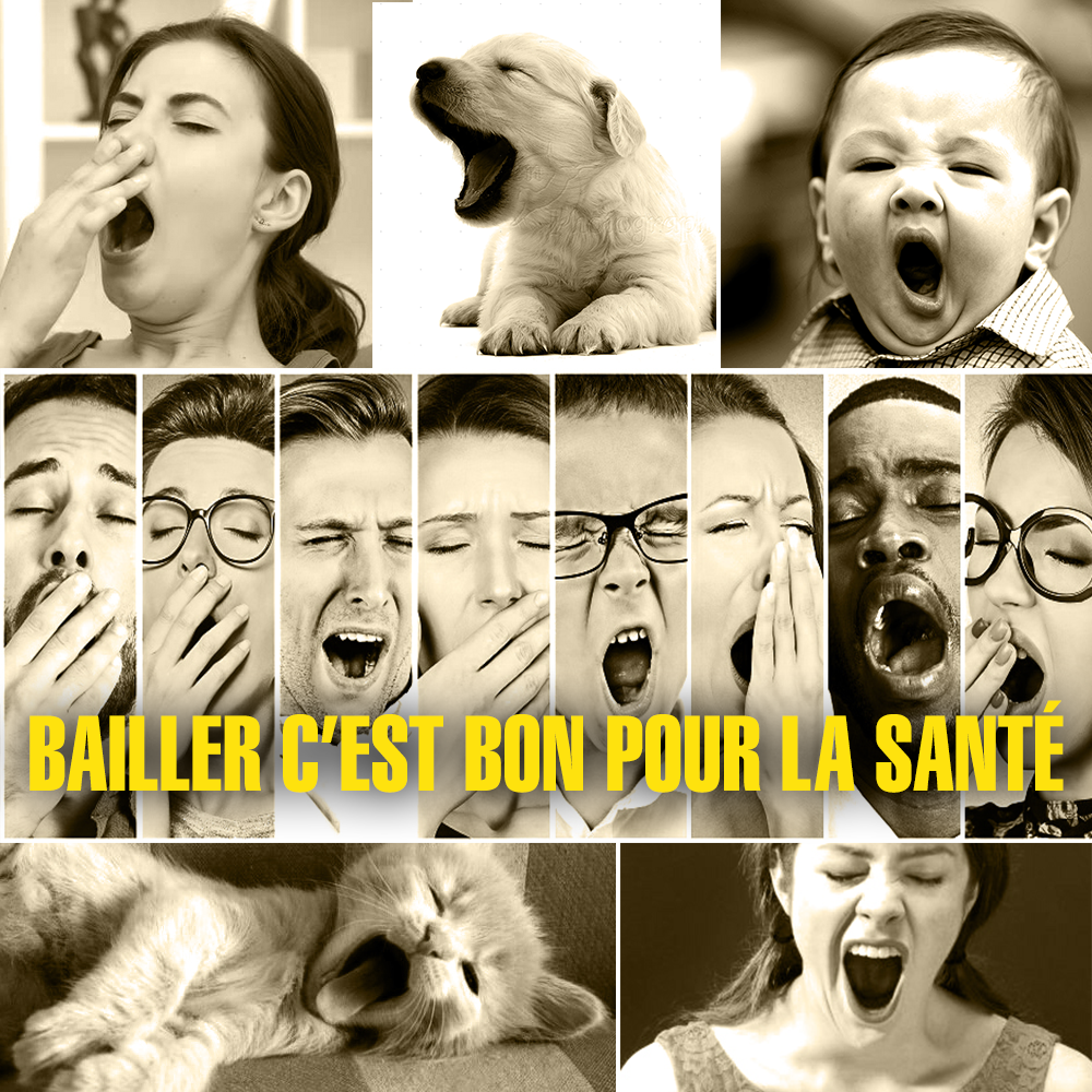 Marche Nordique & Cross-training plein air / Marly-le-roi: Bailler ça ...