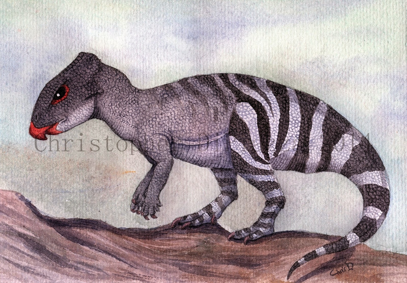 Prehistoric Beast of the Week: Aquilops: Prehistoric Animal of the Week