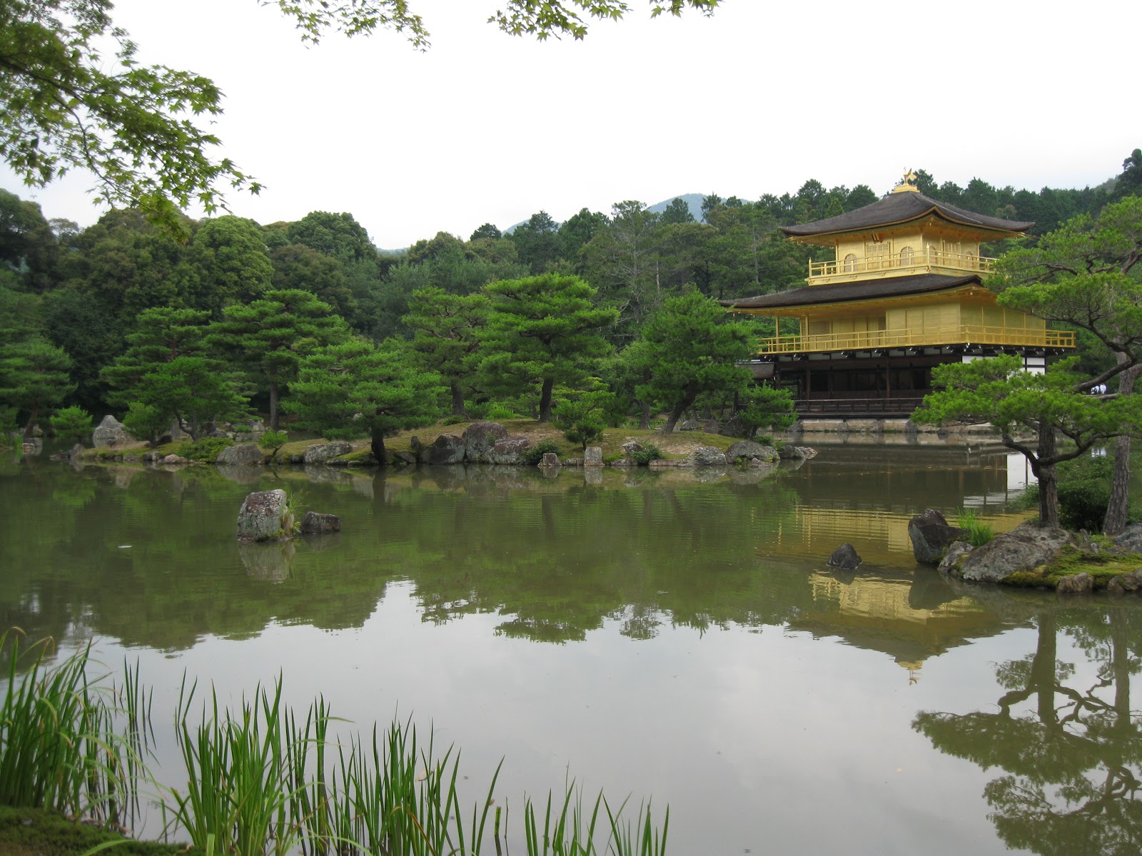 Speaking of History...: 2011