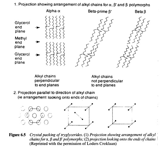 Eric's Apple: Chocolate