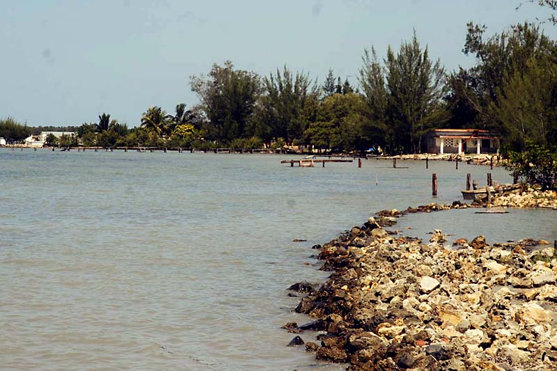 norlys photo: Del Caimito y otros Recuerdos.