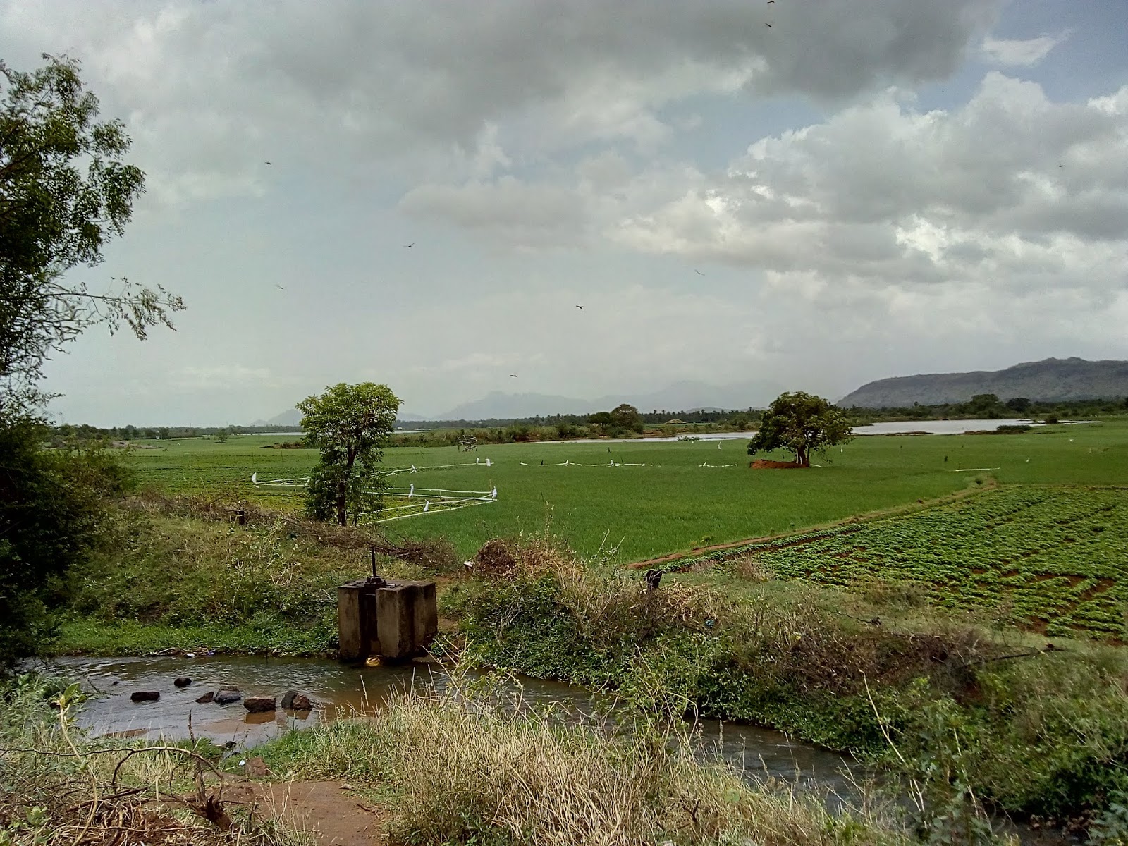 Nature Pictures Kadayam