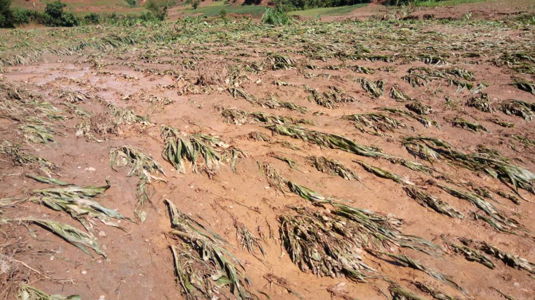 Heavy rains destroy crops in Western Rwanda