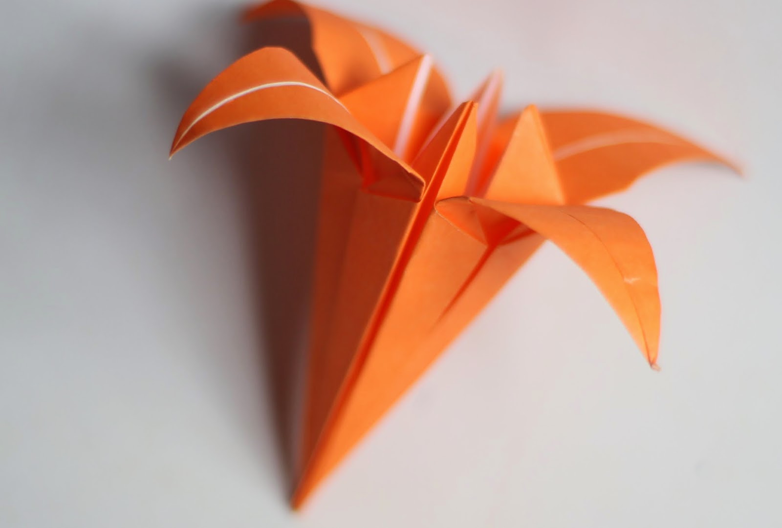 origami flower lily ~ instructions origami kids origami flower lily ~ instructions origami kids