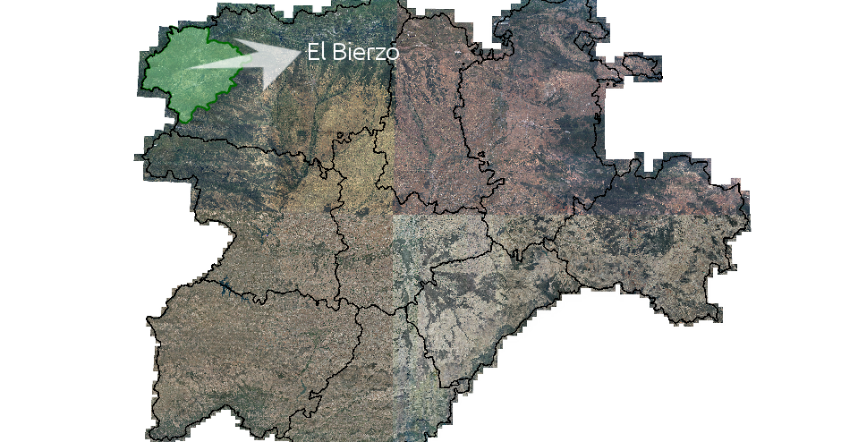 Educación Forestal: El Bierzo