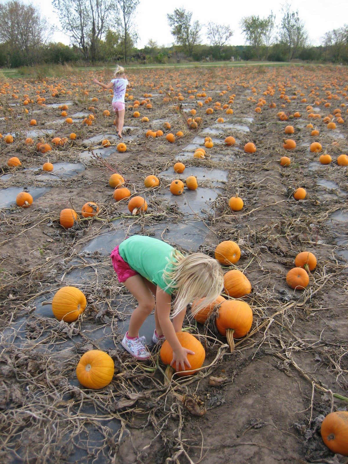 The Kelly Clan: Pumpkin Patch & Apple Orchard