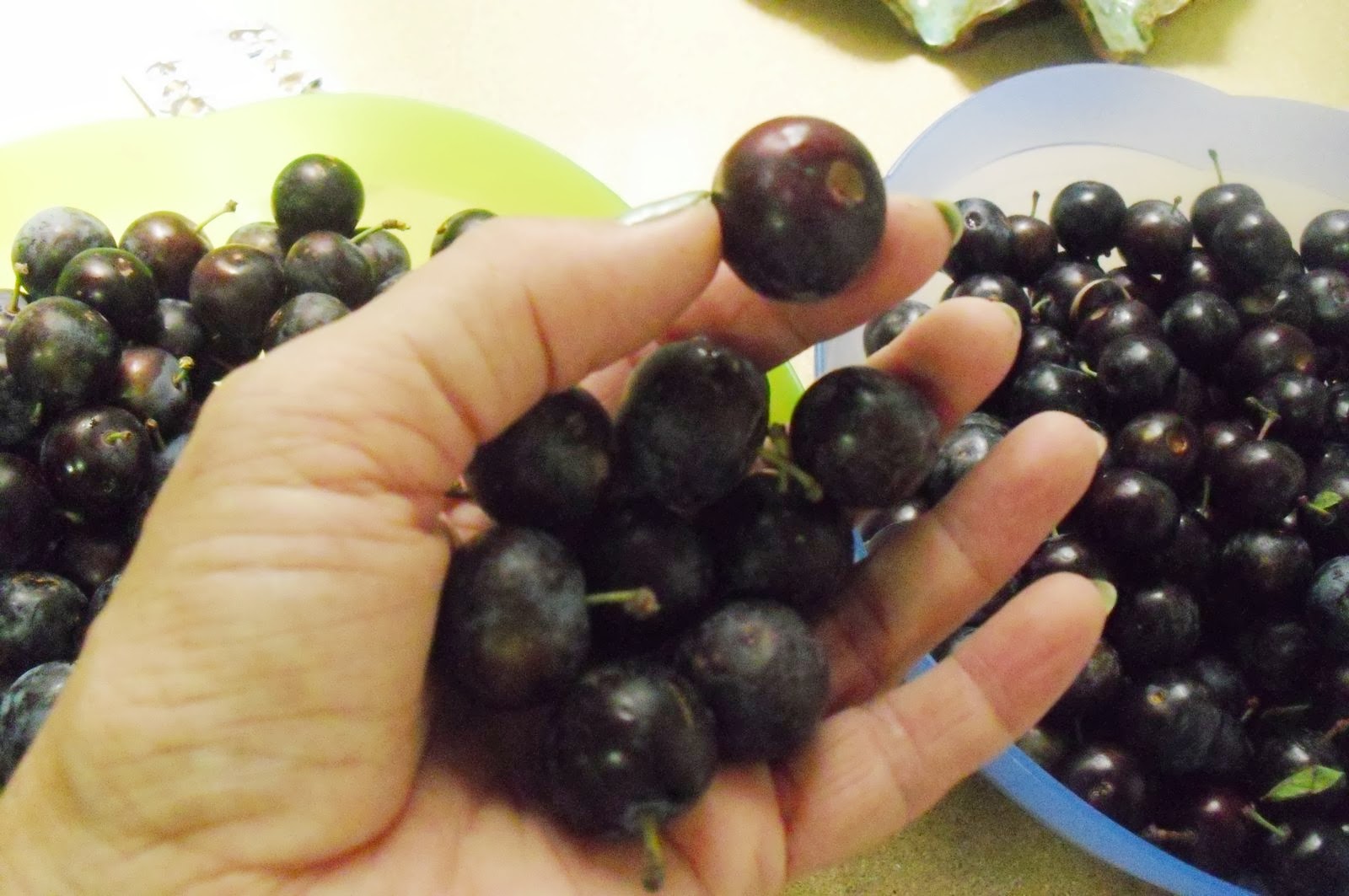 Cocina y postres fáciles: Pacharan con endrinas fuera de serie