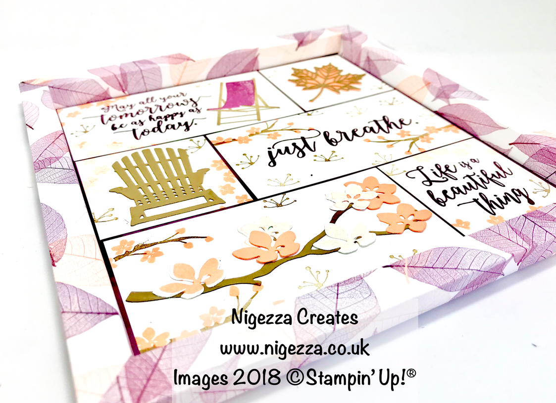 Nigezza Creates: Shadow Box Frame Sampler Using Stampin' Up!® Natures ...