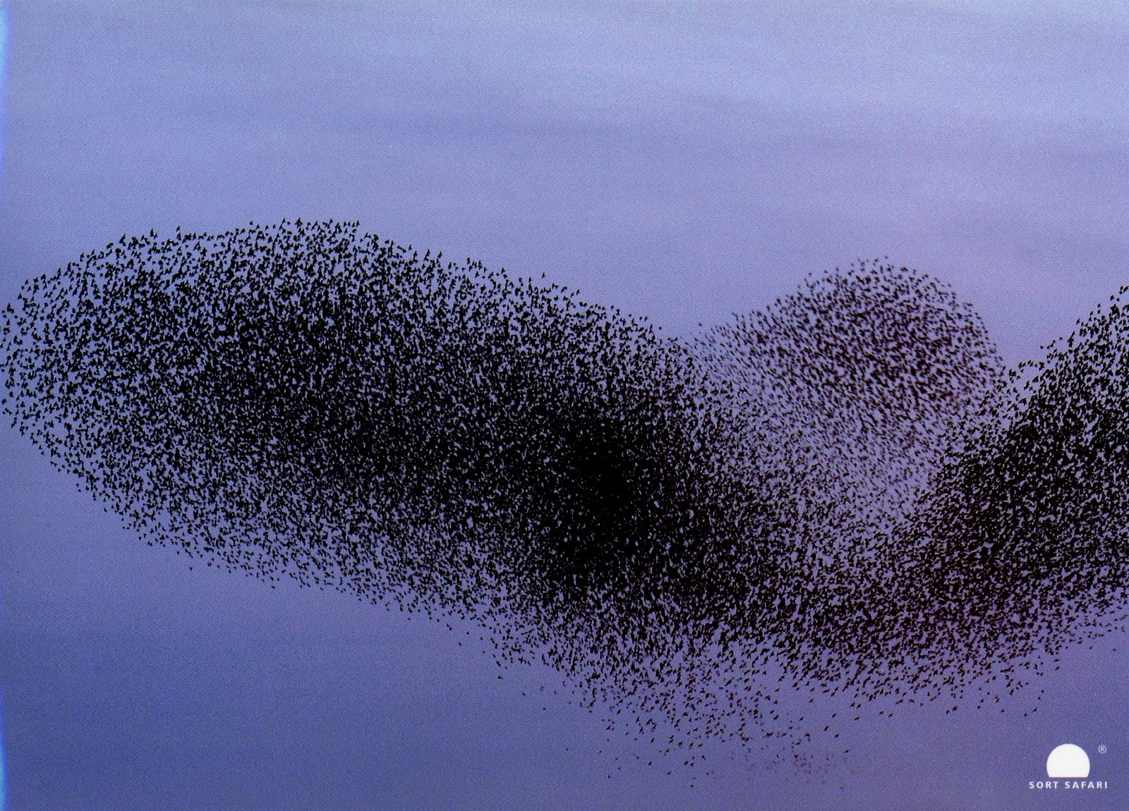 Sort Sol, Vadehavet og marsken