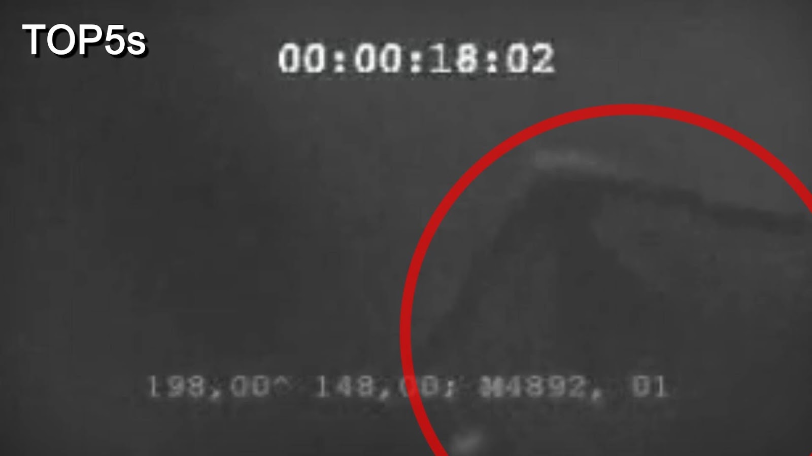 5 Most Mysterious & Unidentified Creatures Caught On Camera