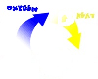 Fire Fighting Procedure