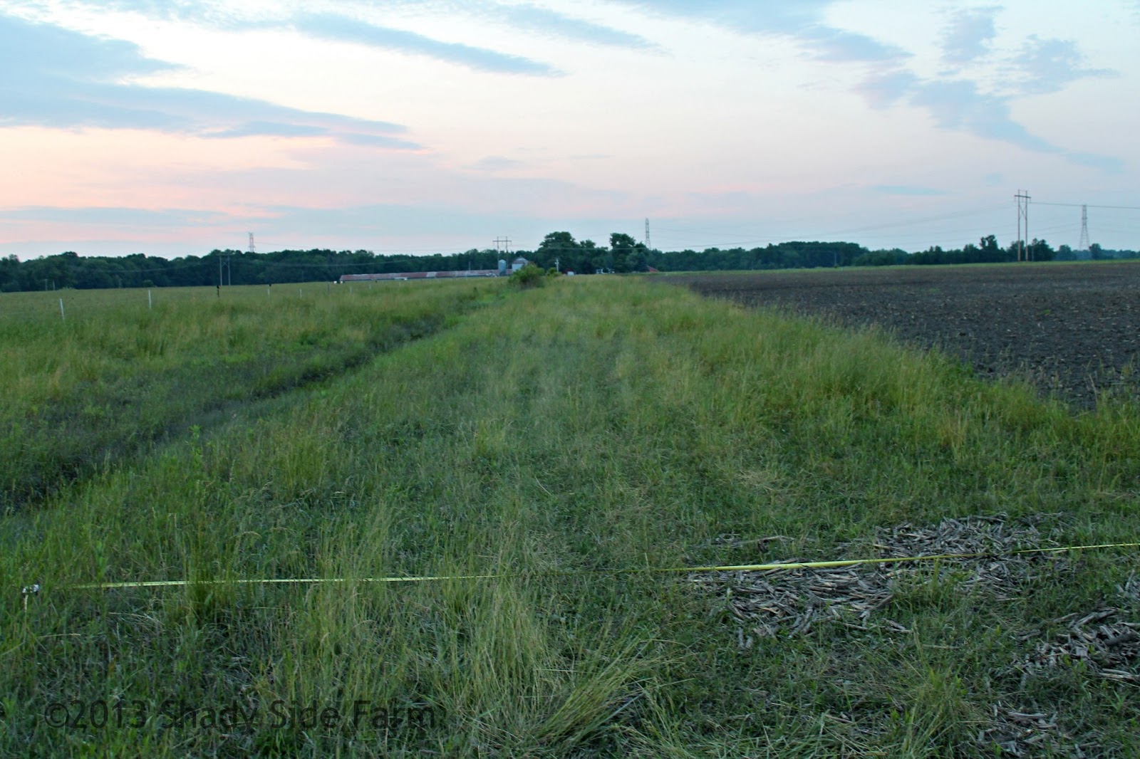 Filter Strips Make Clean Waterways