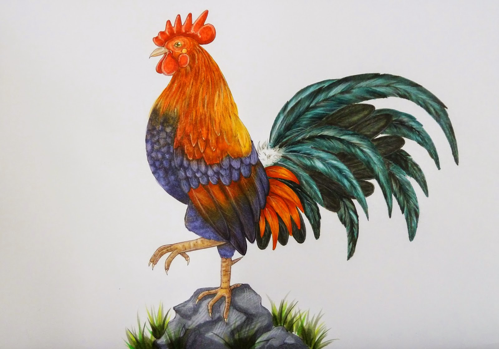 COPIC Friends Schweiz: Hahnen Tutorial